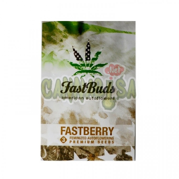 Fastberry Auto купить, семена Fastberry Auto
