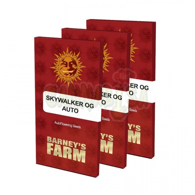 Skywalker OG Auto заказать по цене от производителя